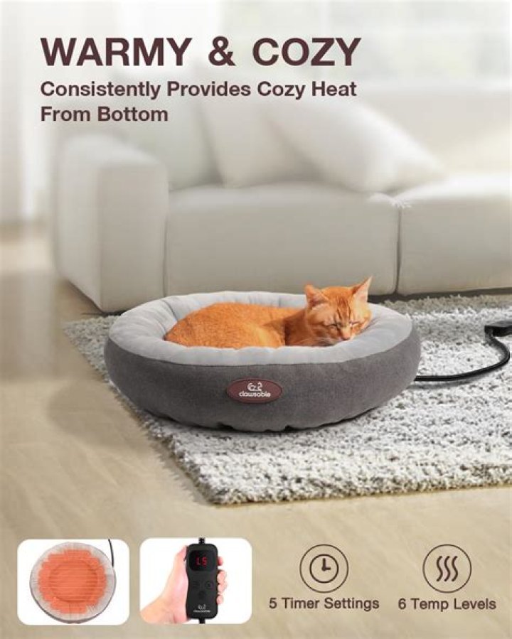 Do cats like heated beds - The Daily Insight