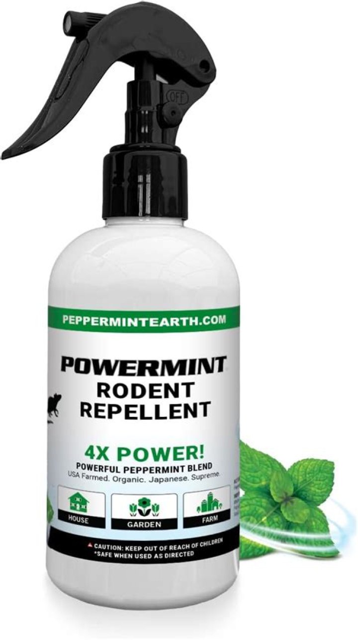 Does peppermint oil get rid of ticks - The Daily Insight