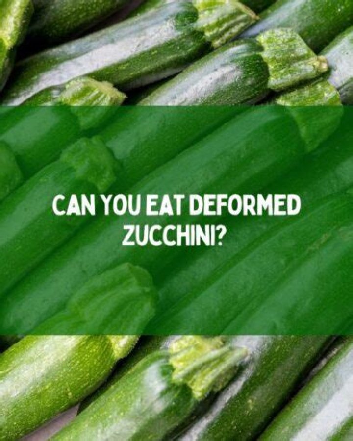 How do I keep bugs off my zucchini - The Daily Insight