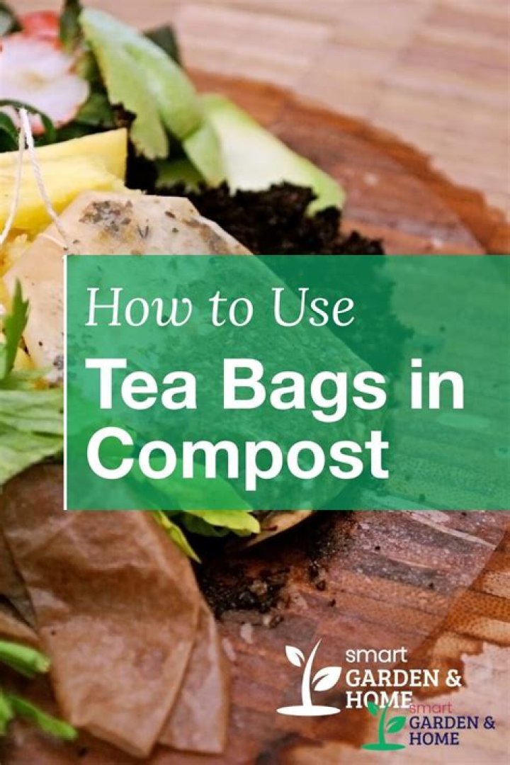 How do you make compost tea bags - The Daily Insight