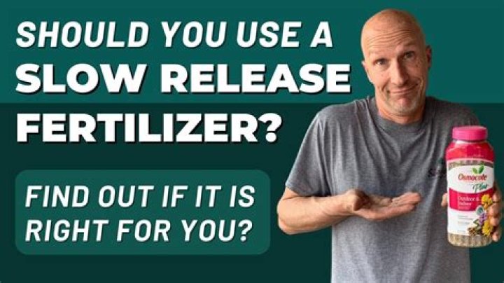 How do you use slow release fertilizer - The Daily Insight