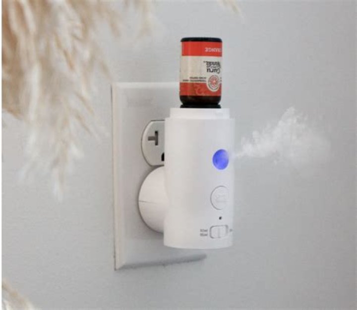 Is it safe to use plug in air fresheners - The Daily Insight