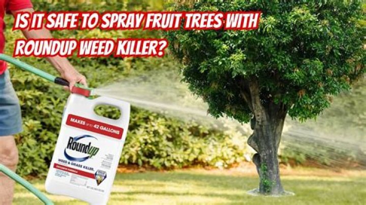 Is it safe to use Roundup near trees - The Daily Insight