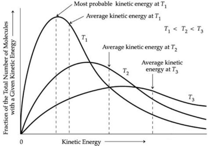 What happens to the average kinetic energy of a gas when the particles ...
