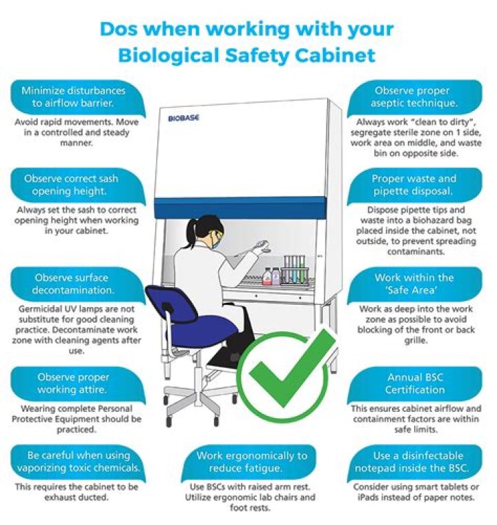 What is a biosafety cabinet used for - The Daily Insight