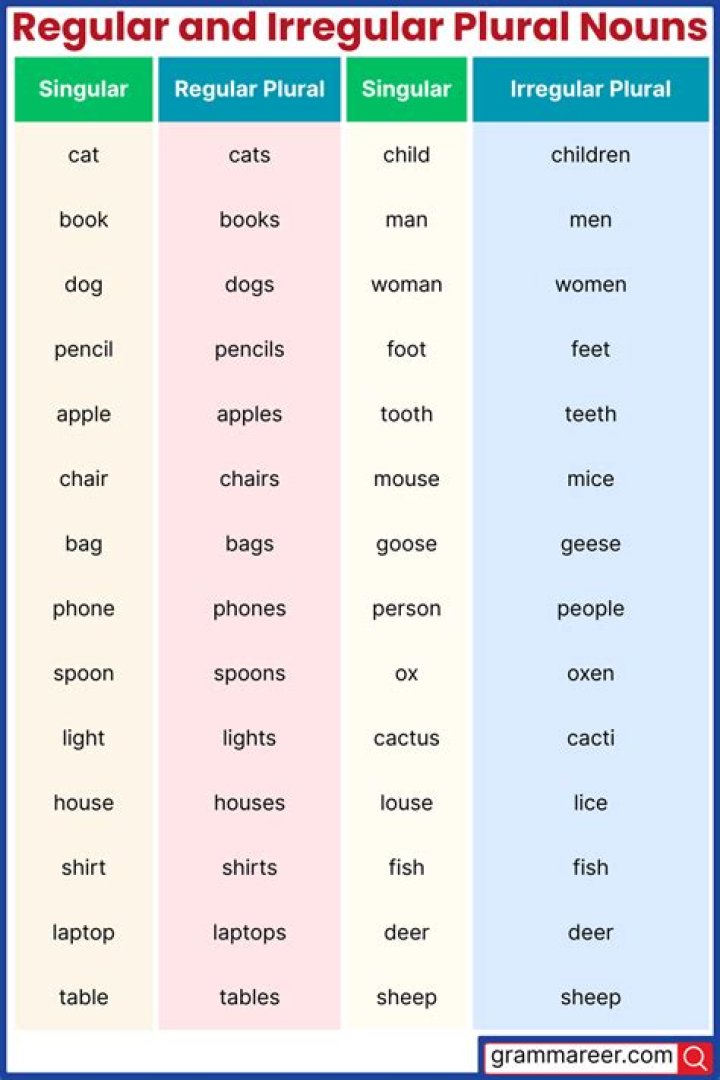 What is the irregular plural for mouse - The Daily Insight