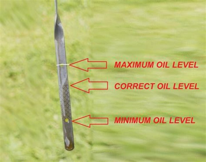 What level should oil be on dipstick - The Daily Insight